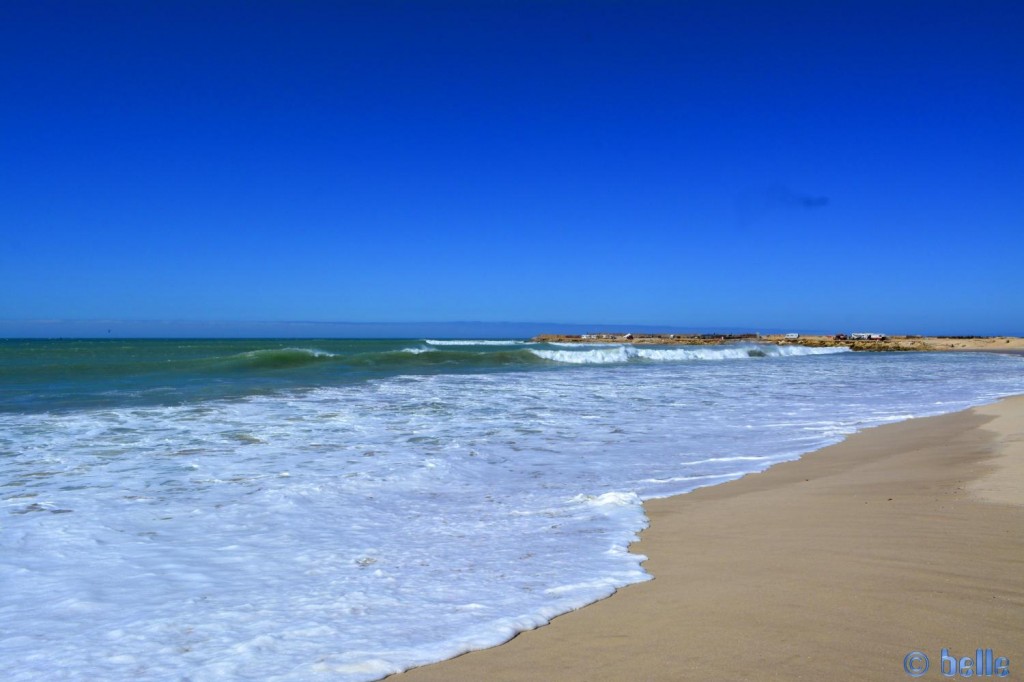 Marocco – Dakhla-Oued ed-Dahab – El Argoub – Dakhla – Foum El Boir Parc ...