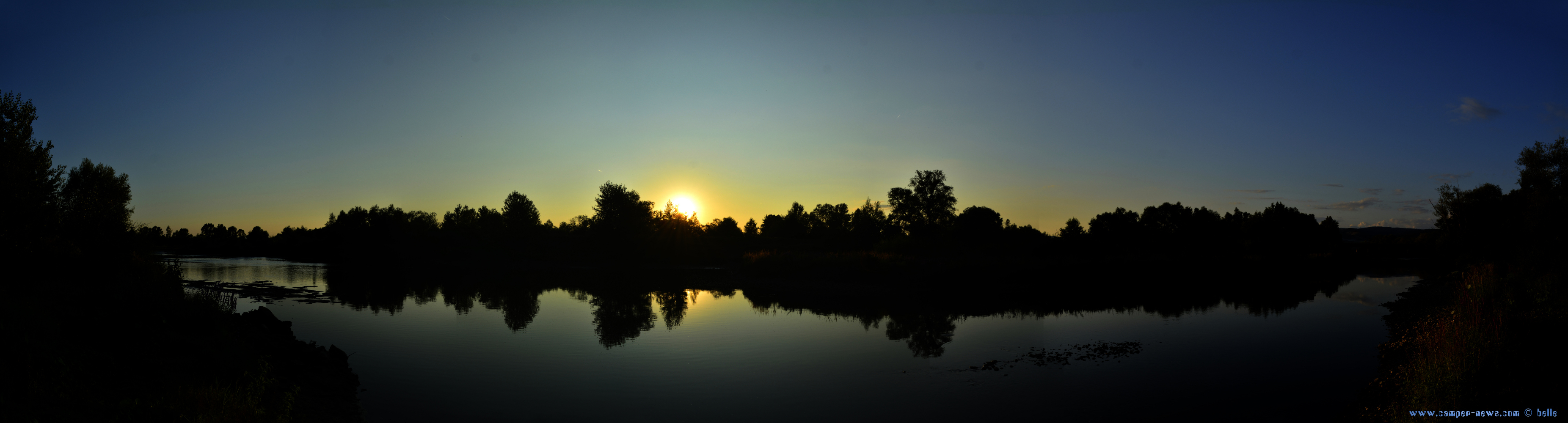…so schnell kommt man zu einem Kätzchen! | Camper News