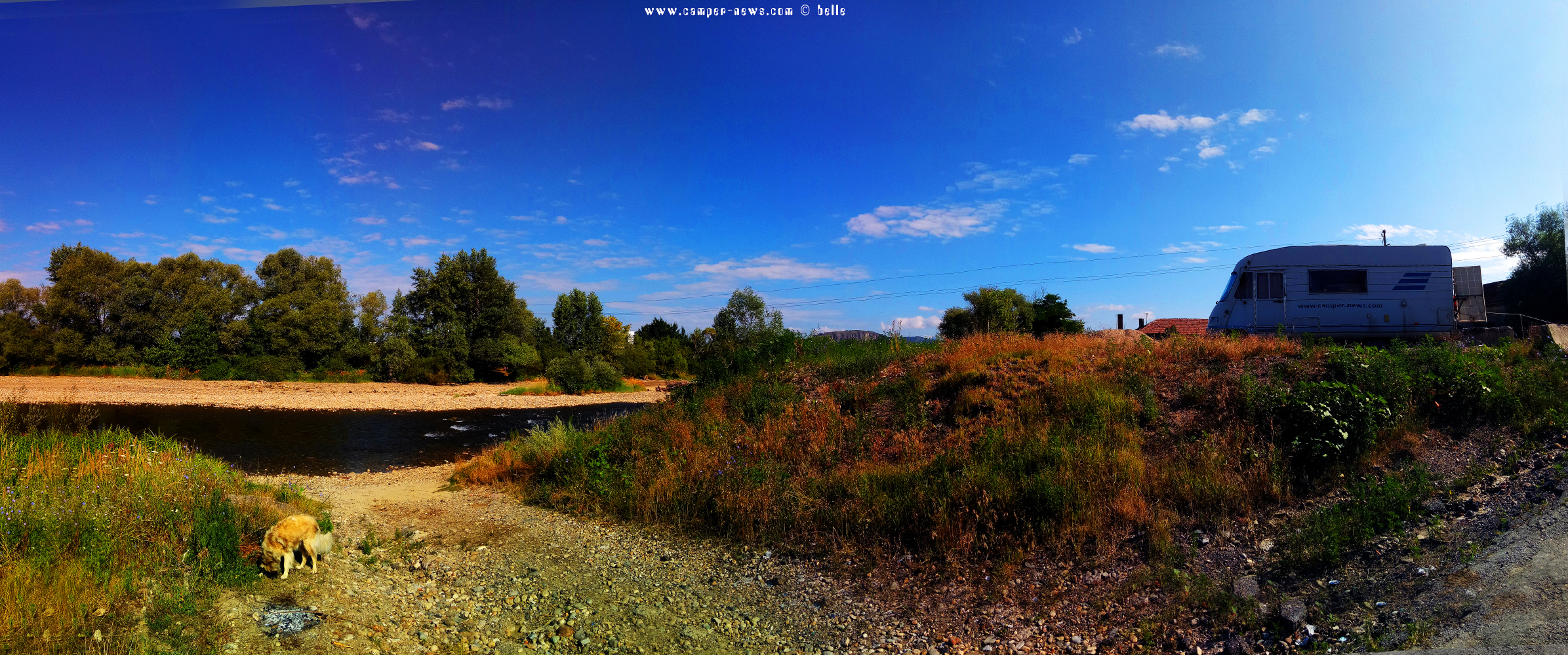 …so schnell kommt man zu einem Kätzchen! | Camper News
