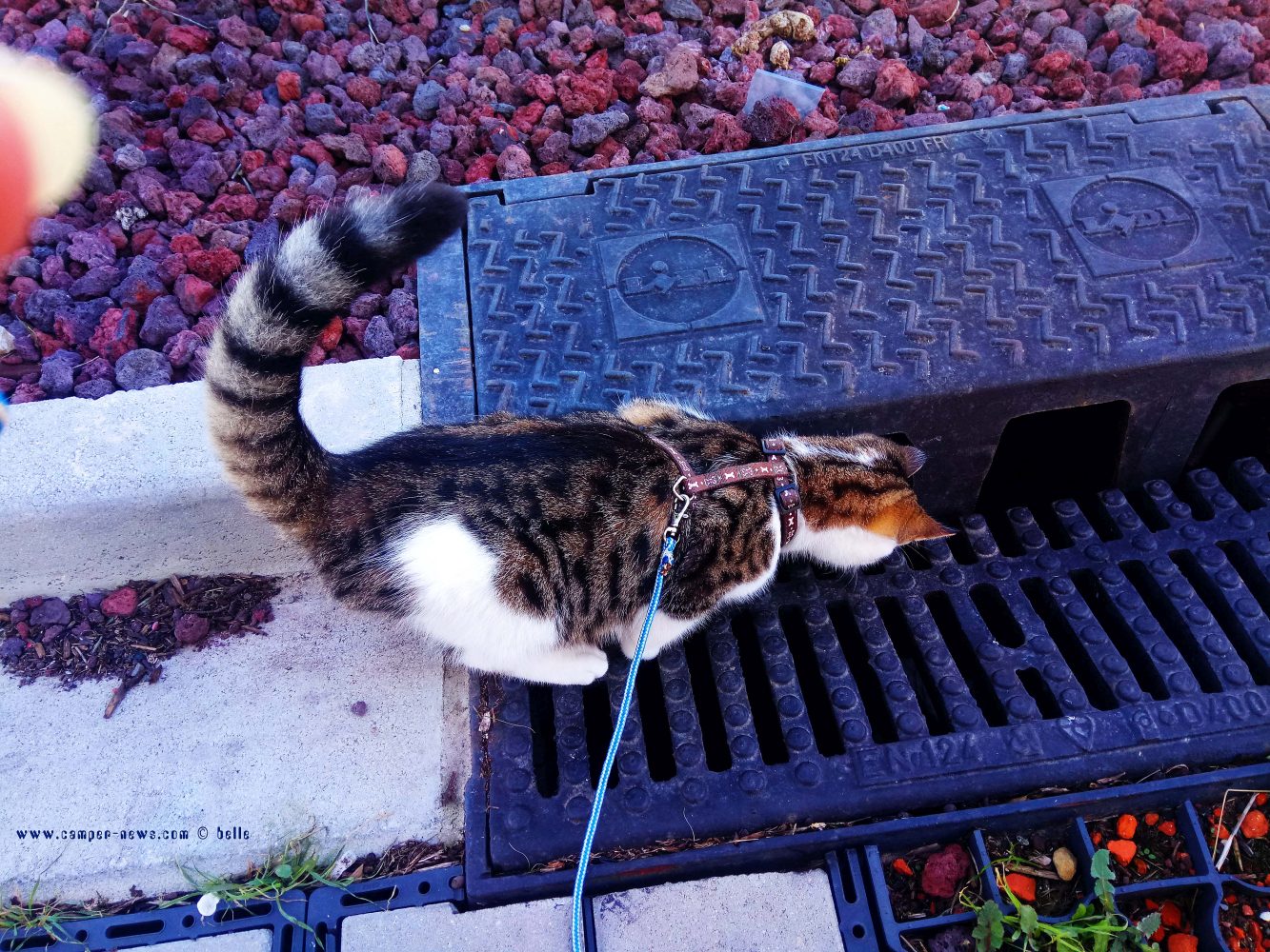 …wieder ein kleines Stückchen näher an Spanien! | Camper News