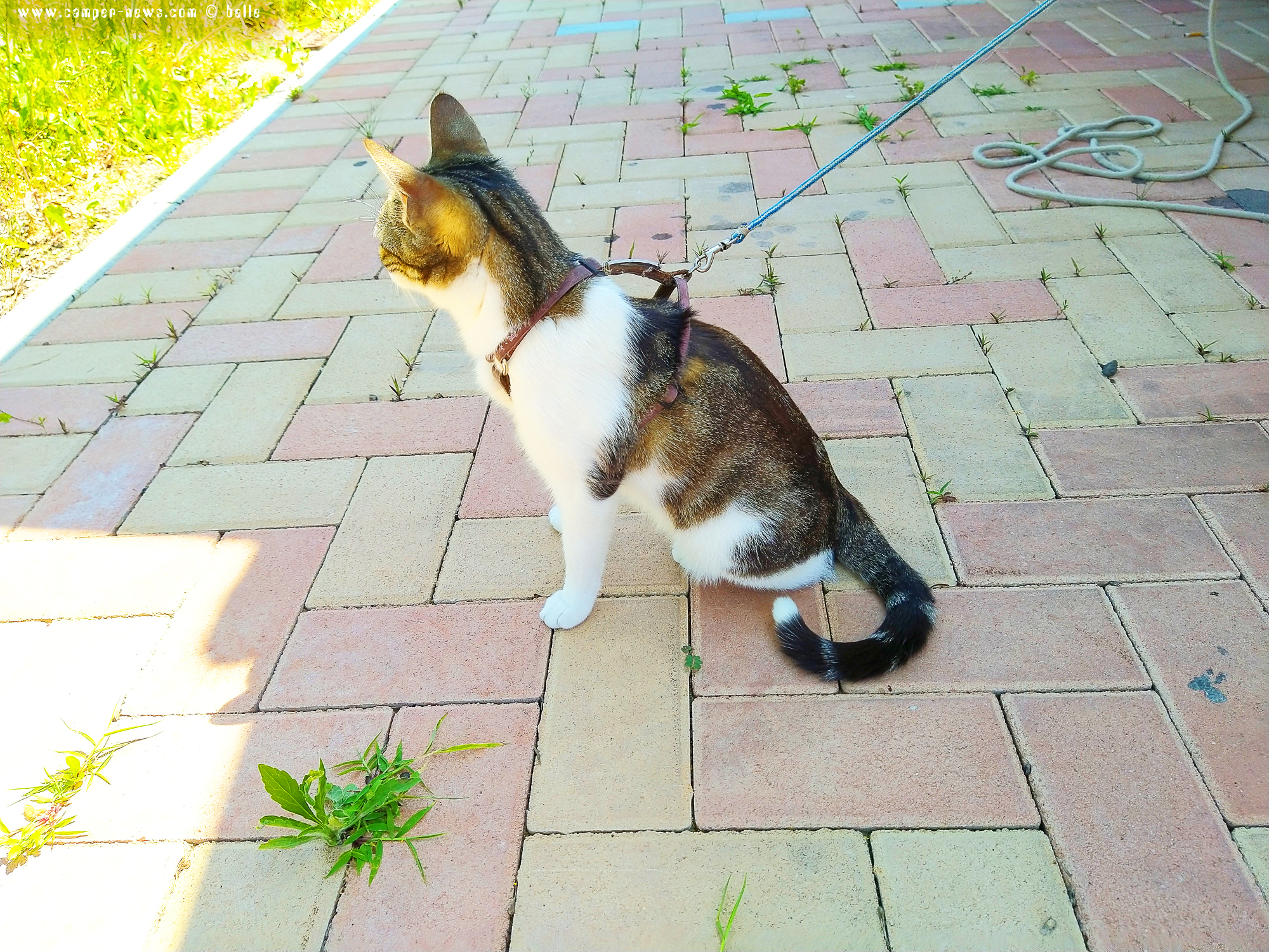 Himmel – was für ein Tag! | Camper News