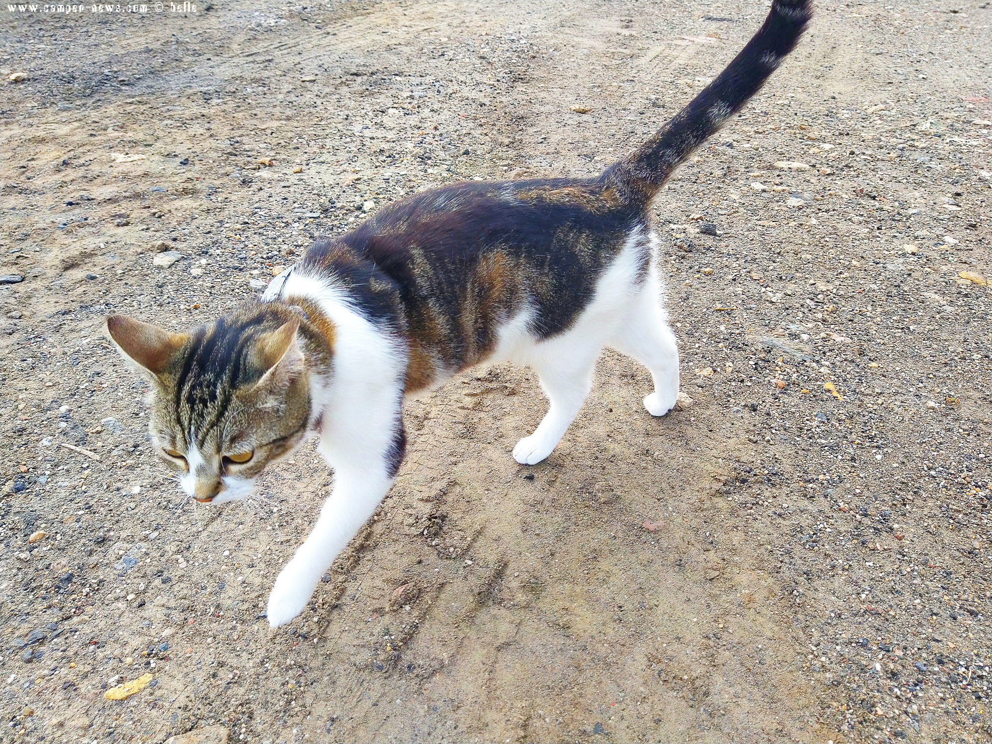 ¡Sin sol! | Camper News